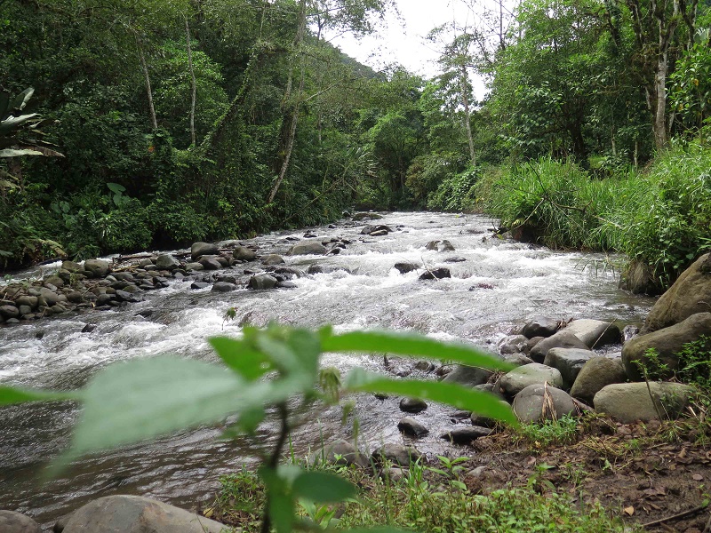 Rio Alambí – Quito Informa