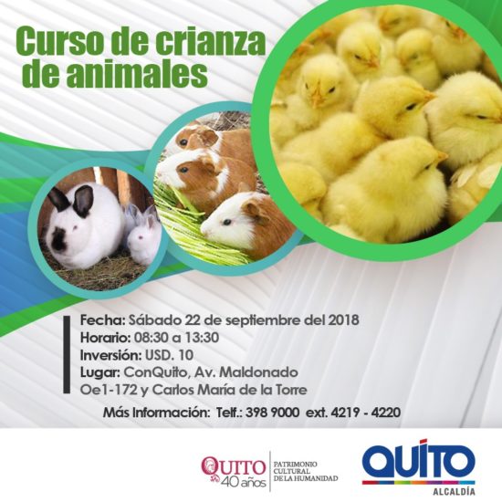 Curso de Animales Menores_Arte – Quito Informa