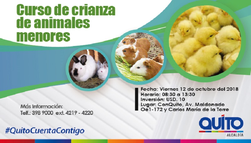 Especies menores_TW – Quito Informa