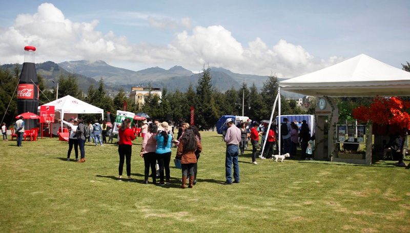 Campaña Quito a Reciclar – Quito Informa