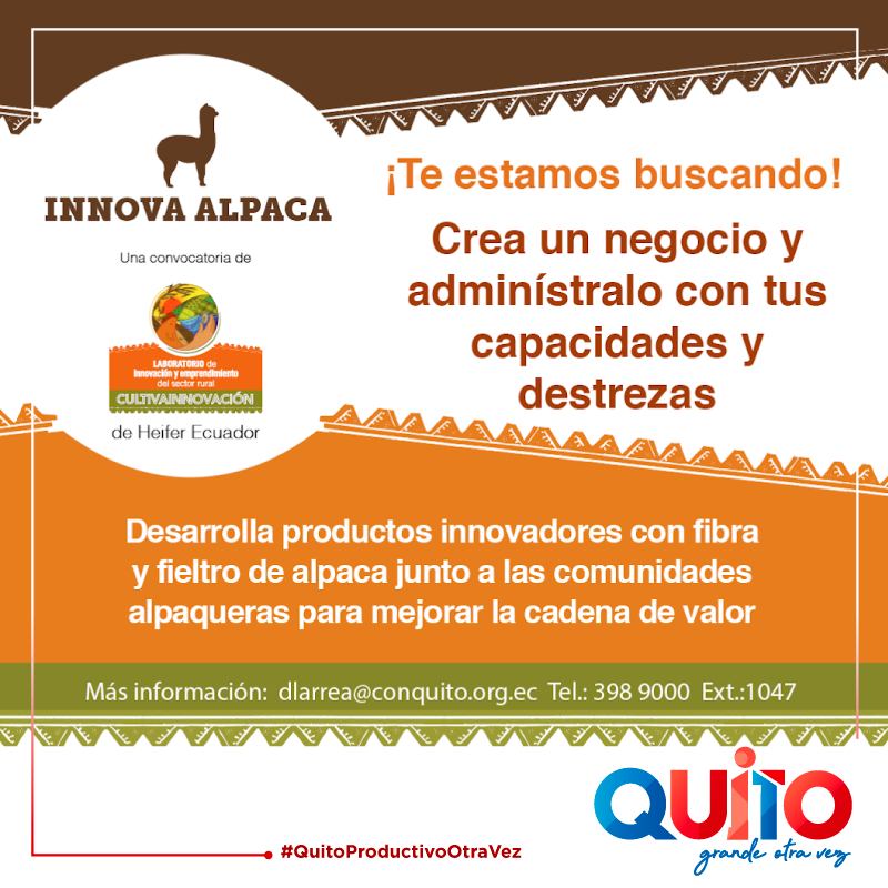 Abierta la convocatoria para Cultivainnovación edición ‘Cultiva alpaca ...
