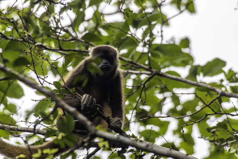 Zoológico de Guayllabamba recibe apoyo del Municipio capitalino – Quito ...