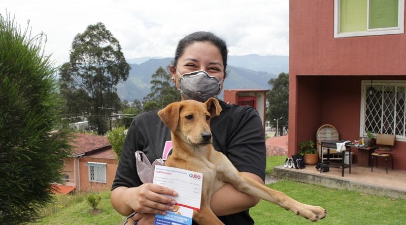 Adopta y contribuye con el círculo de bienestar animal – Quito Informa