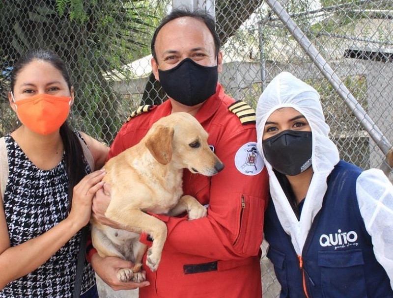 Urbanimal ubica en hogares responsables a los animales rescatados del ...