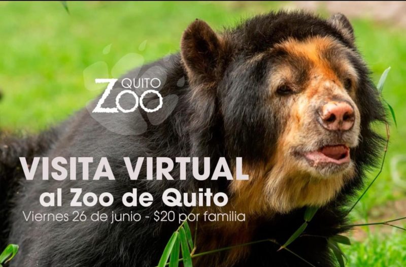¡Sé parte de una aventura silvestre en el Zoo de Quito! – Quito Informa