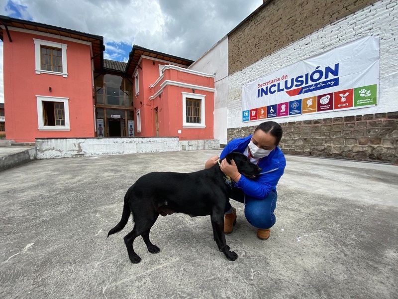 Participe del conversatorio sobre bienestar animal – Quito Informa