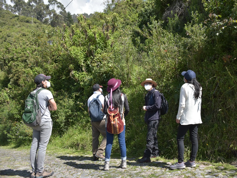 CAMINATA-21-FEB-800X600 – Quito Informa