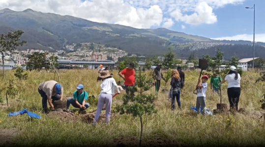 Quito celebró el Día Mundial del Ambiente con varias actividades ...