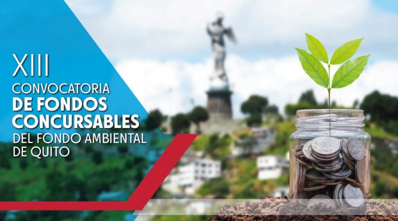 El Fondo Ambiental lanza la XIII convocatoria de fondos concursables – Quito Informa