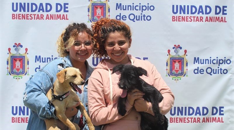 15 mil personas llegaron a la I Feria de Bienestar Animal ‘Adopta ...