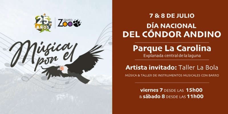 Arte en comunidad por el Día Nacional del Cóndor Andino – Quito Informa