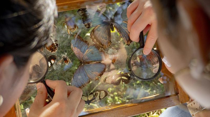 Visite el zoológico y apoye al cuidado del bienestar animal – Quito Informa