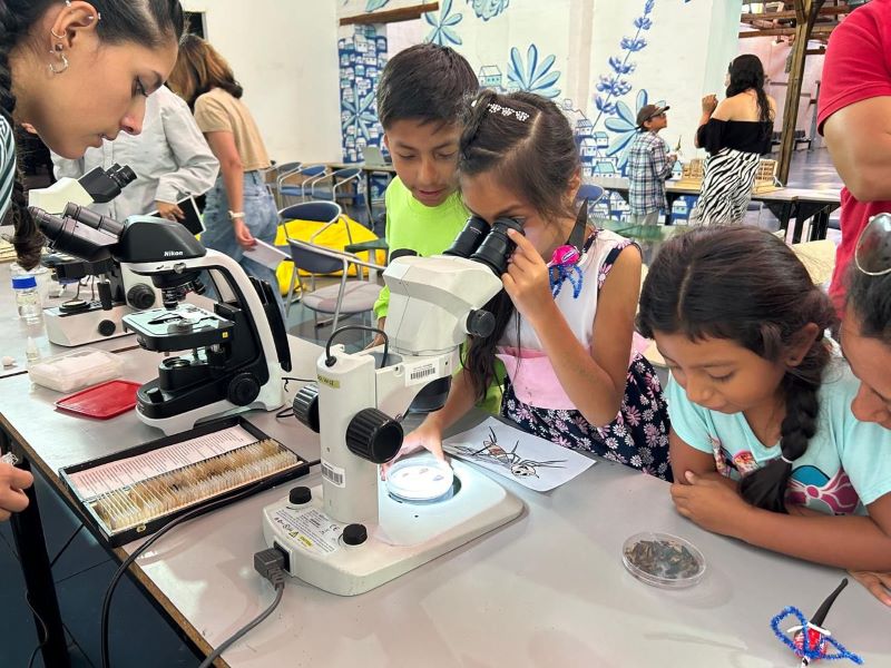 ¿Sin planes para el fin de semana? ¡Vamos al MIC! – Quito Informa