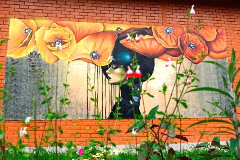 Solanda se pone ‘bonita’ con 50 jardines que además crean empleo para ...